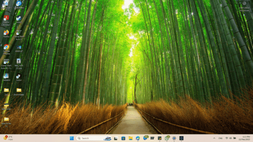Essential Guide: How to update BIOS in Windows 10 / 11