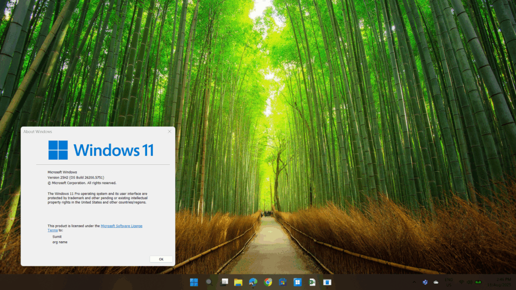 Install Windows 11 25H2 manually or offline